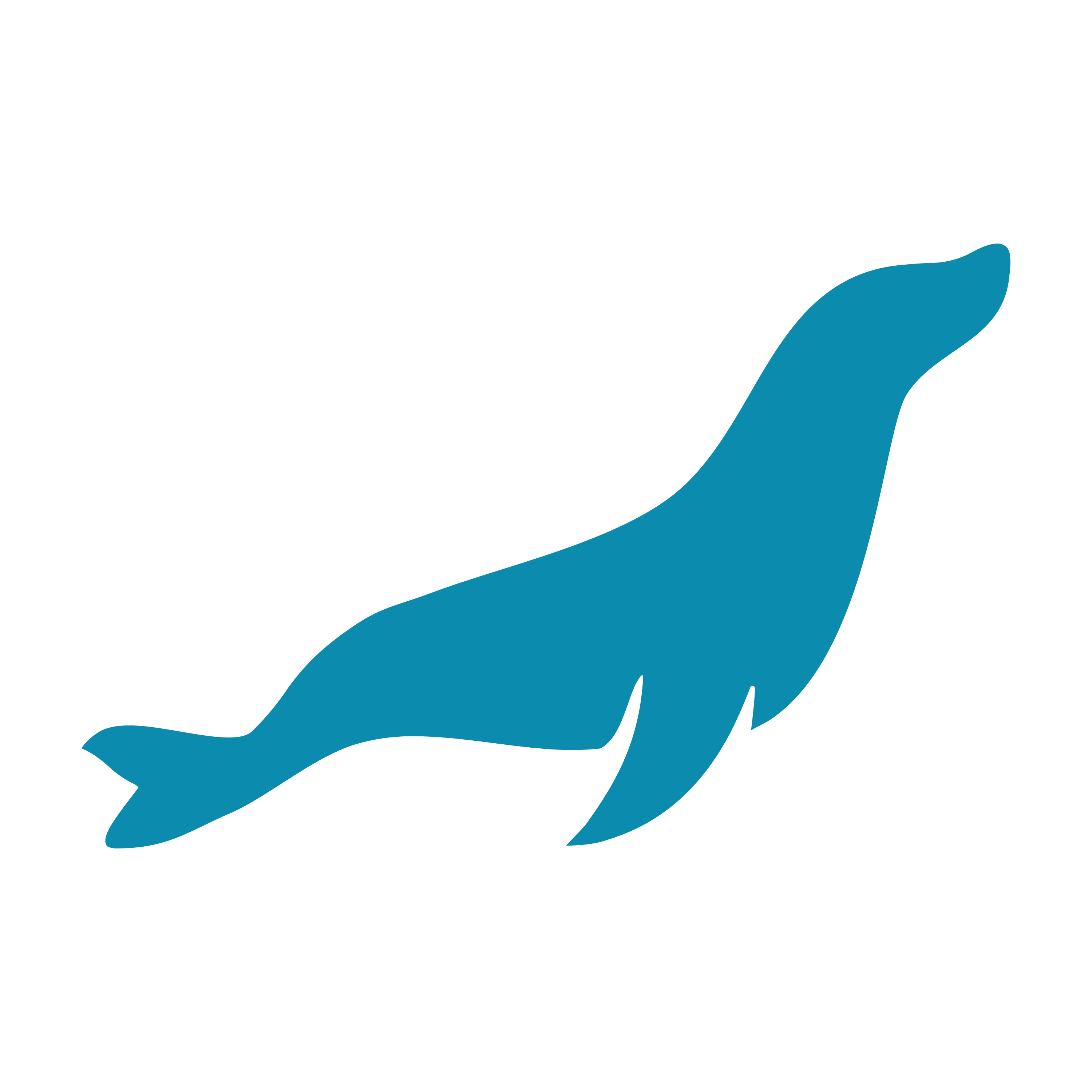 MariaDB mariadb