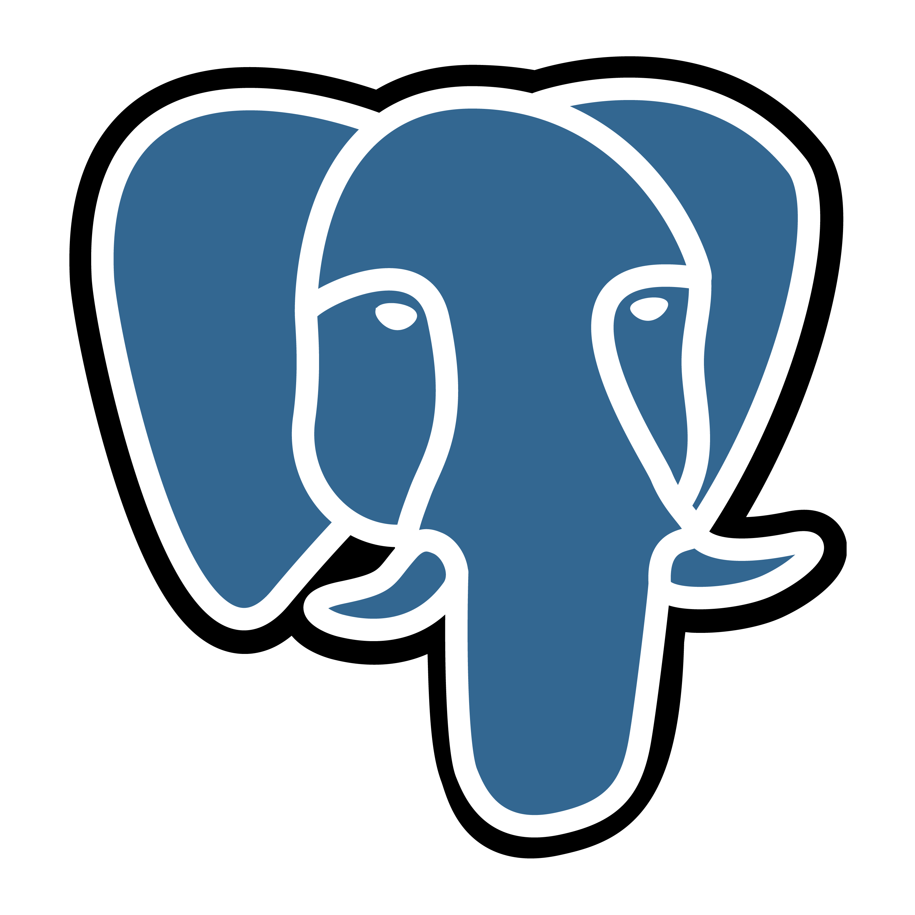  PostgreSQL